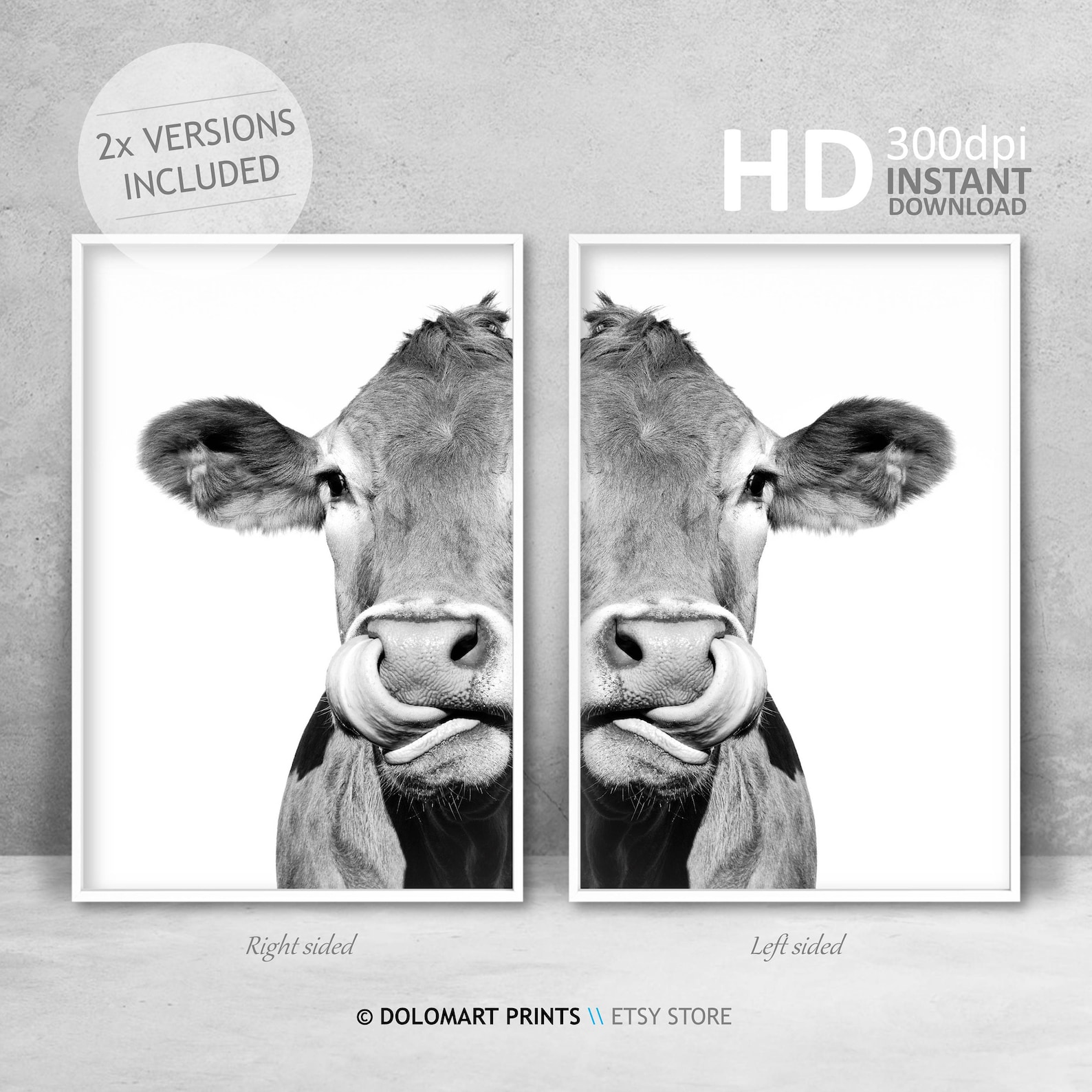 Cow Wall Art Funny Cow Print Rustic Home Decor Cattle - Etsy