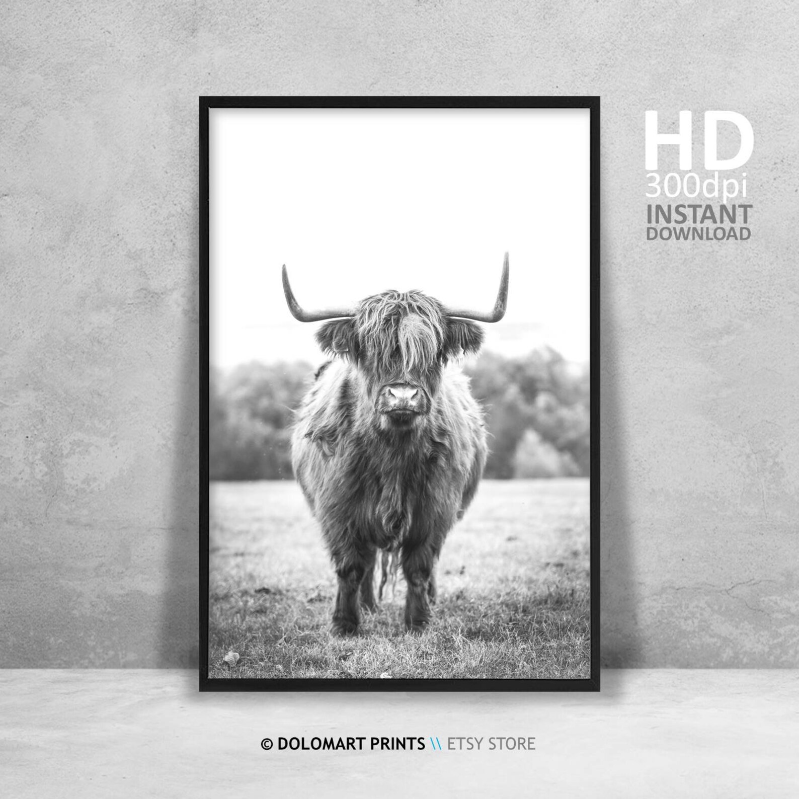 Highland Cow Print Farm Animal Wall Art Cow Poster Rustic | Etsy