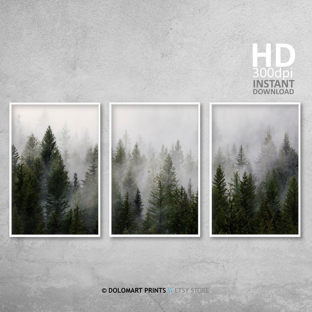 Scandinavian Minimal Forest Landscape Photos Bundle, Misty Forest Teal ...