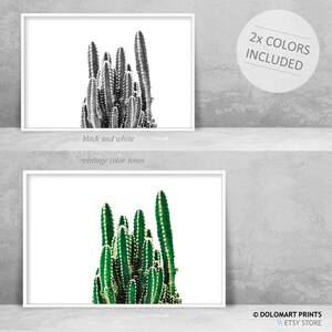 Succulent Print, Cactus Print, Botanical Print, Succulent Wall Art ...