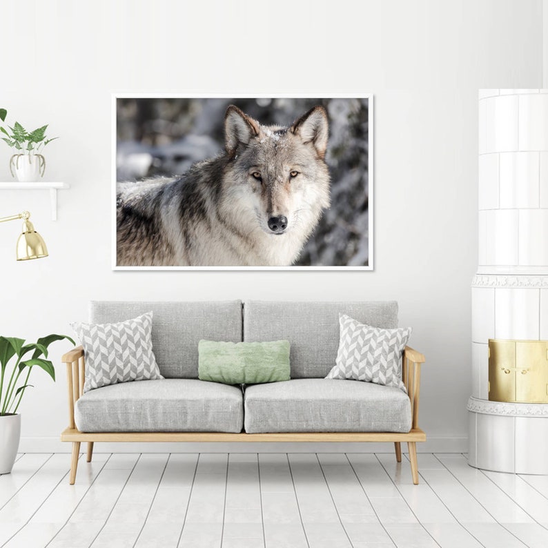 Wolf Wall Art Wolf Print Wilderness Photography Animal - Etsy