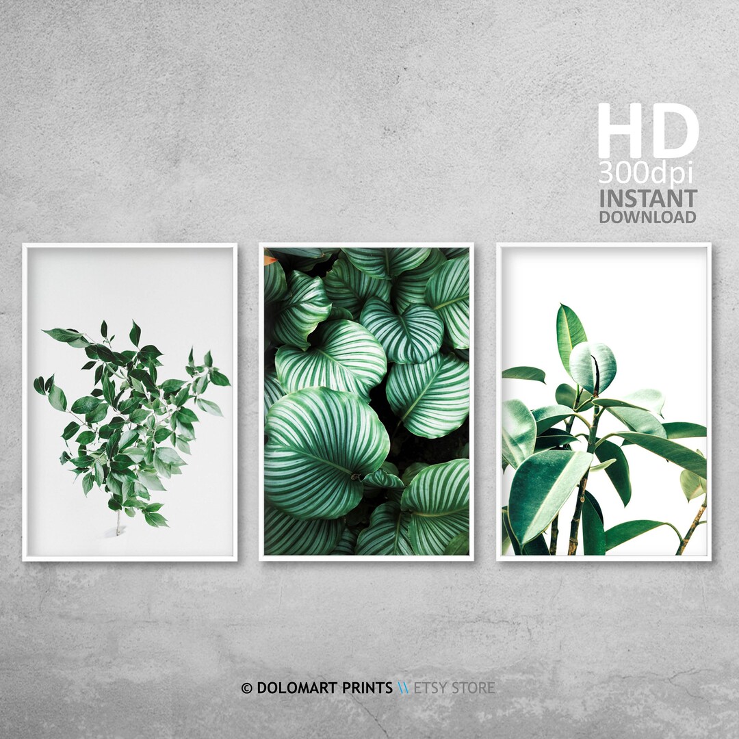 Set of 3 Prints, Greenery Wall Art Bundle, Tropical Botanic Green White ...