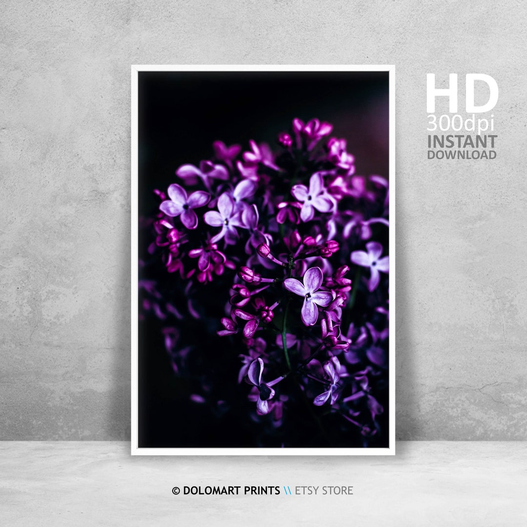 Purple Flower Print, Purple Flower Printable Photo, Purple Black Art ...