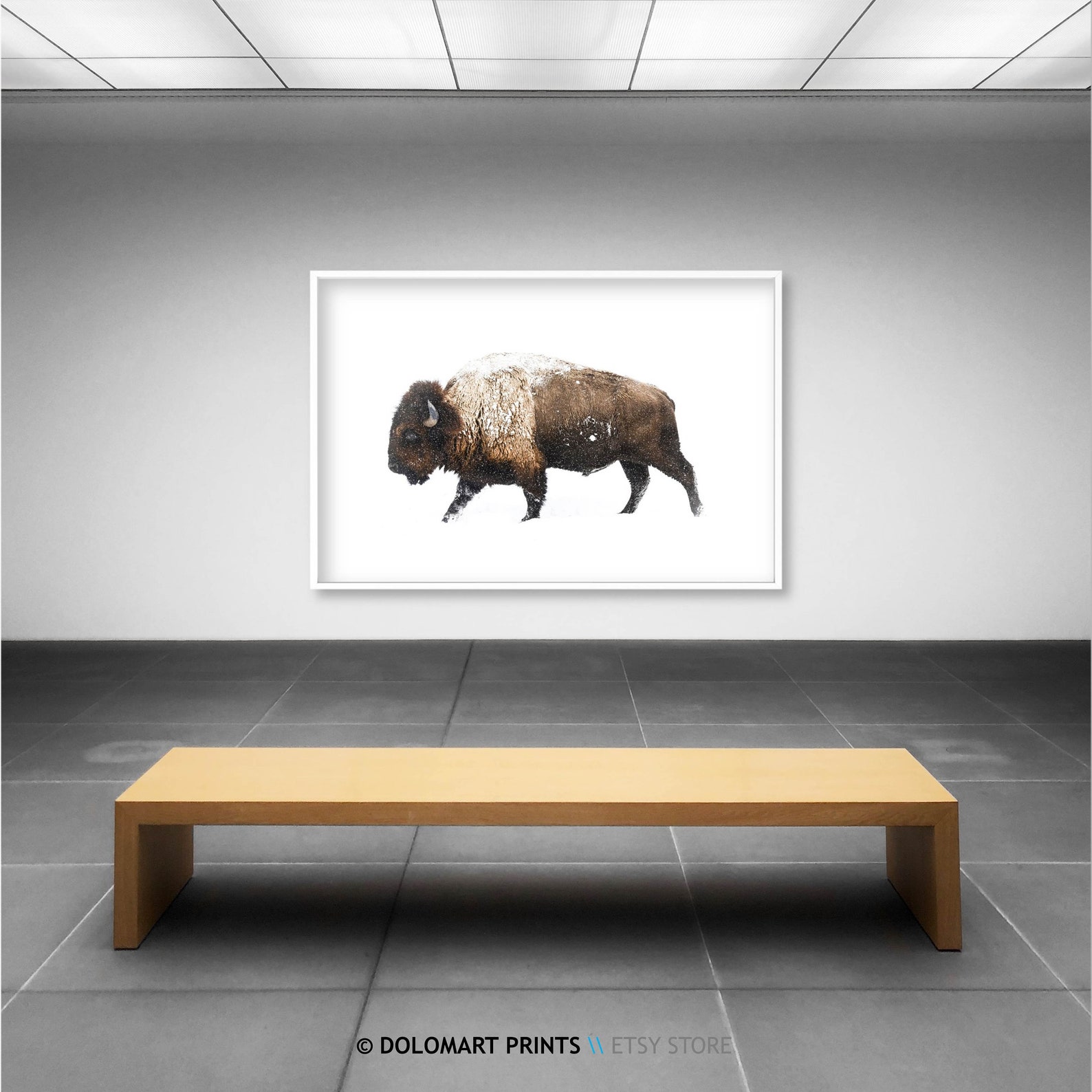 Bison Wall Art Buffalo Horizontal Print Wilderness - Etsy