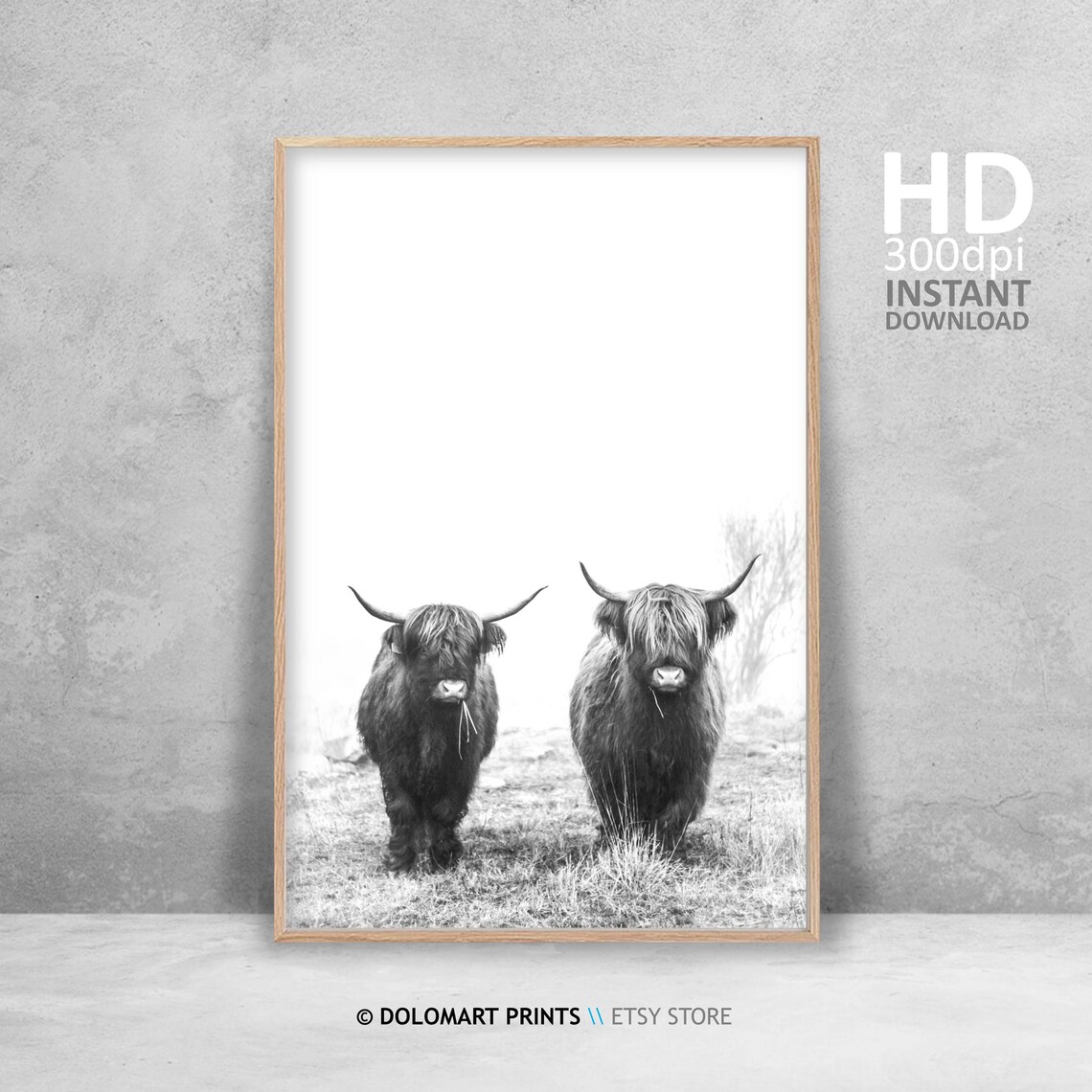 Highland Cow Print Farm Animal Wall Art Cow Poster Rustic | Etsy