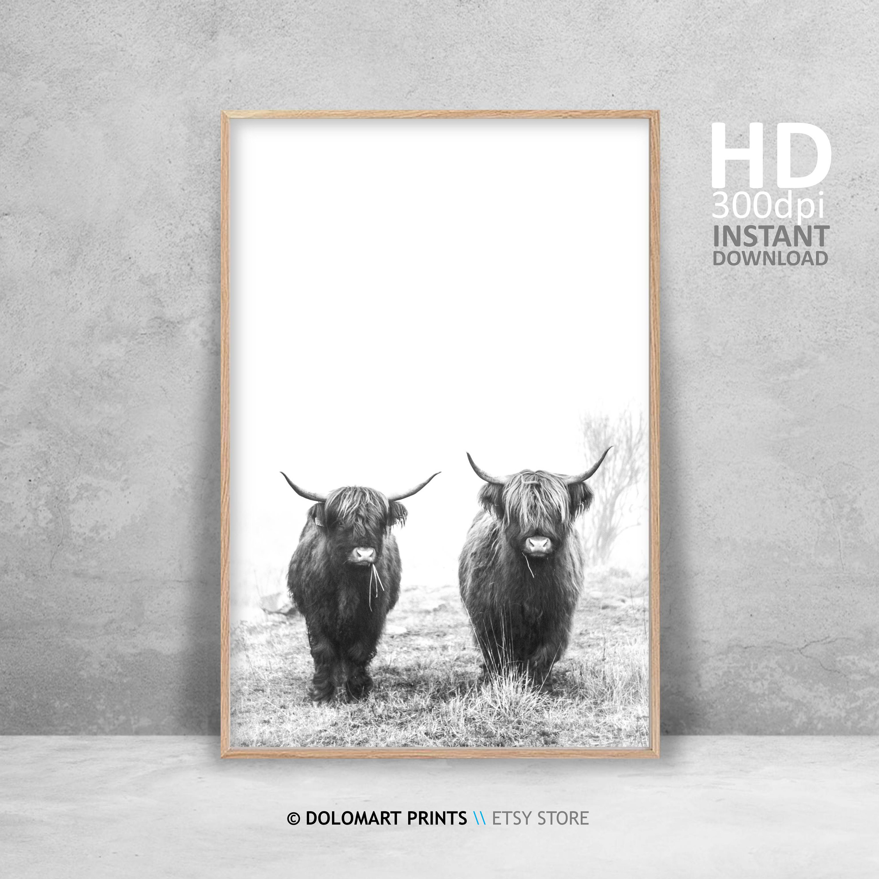 Highland Cow Print Farm Animal Wall Art Cow Poster Rustic | Etsy