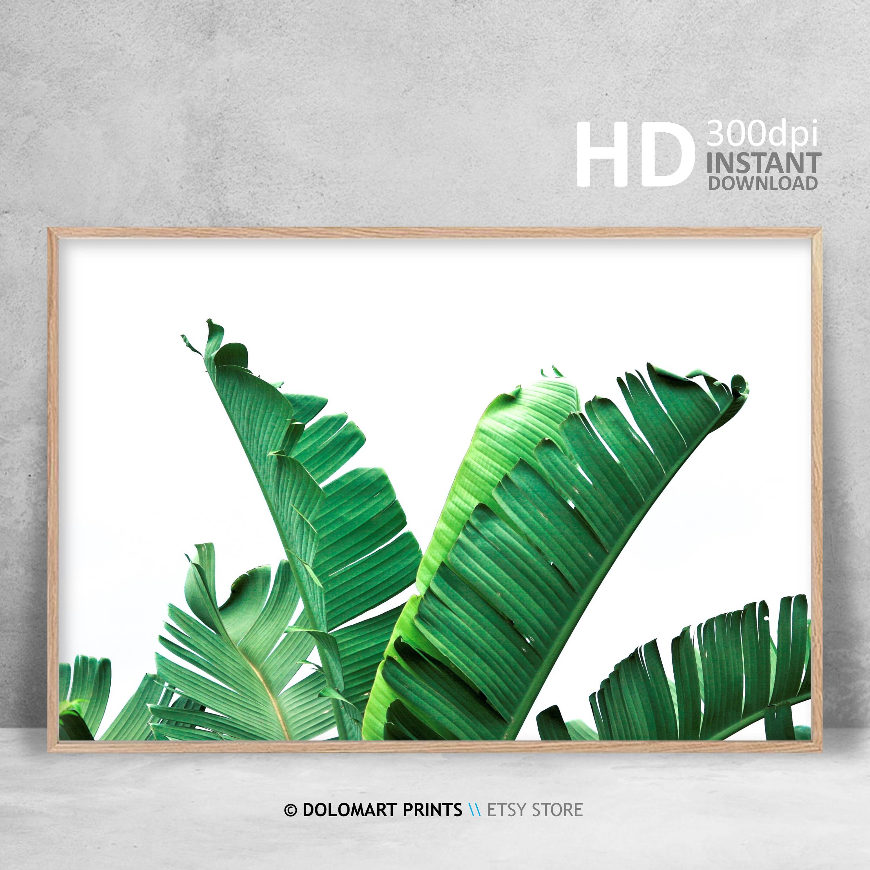 Banana Leaf Art Set of 2 Prints Tropical Leaf Wall Art Set | Etsy