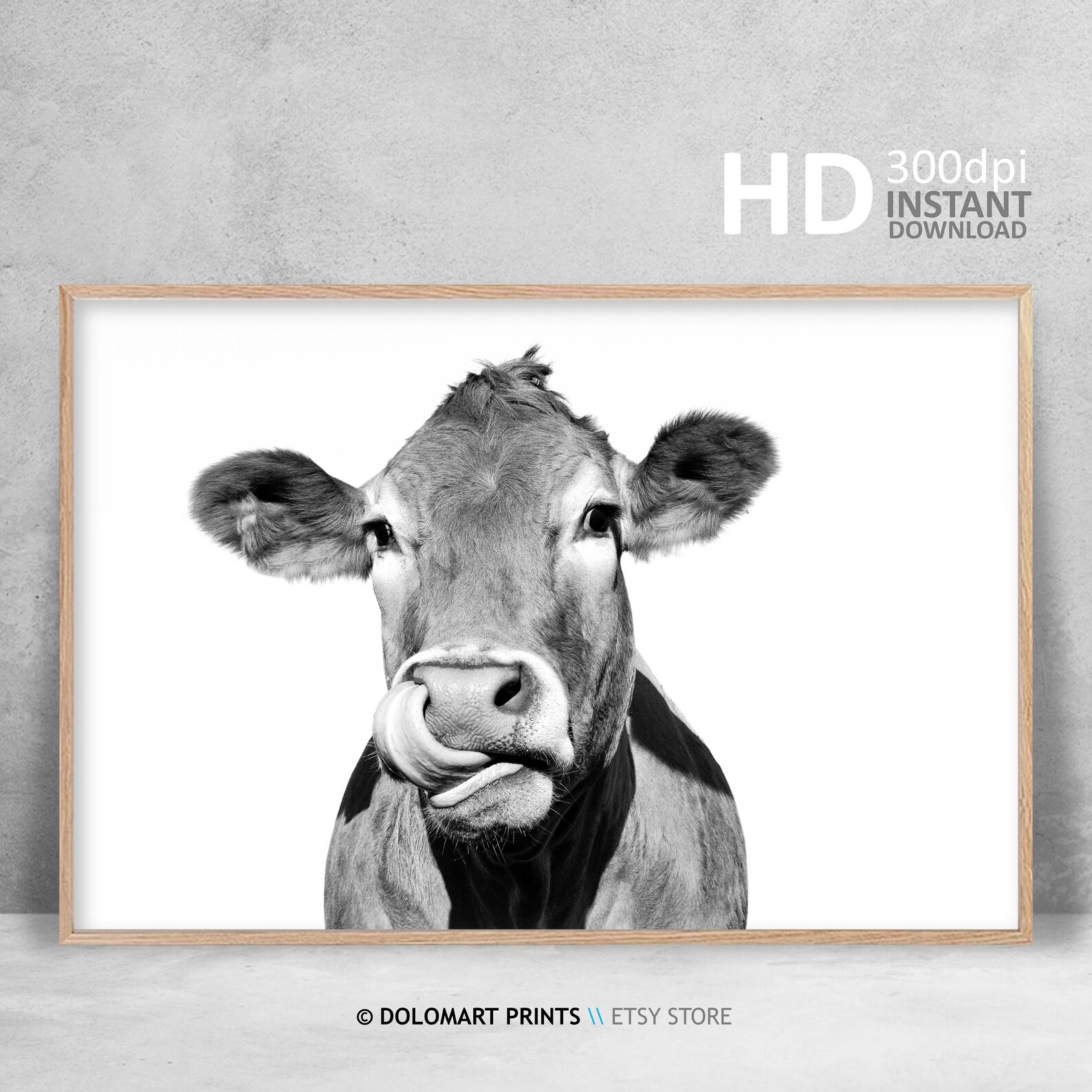 Rustic Cow Print, Cow Wall Art, Black and White, Animal Photography ...