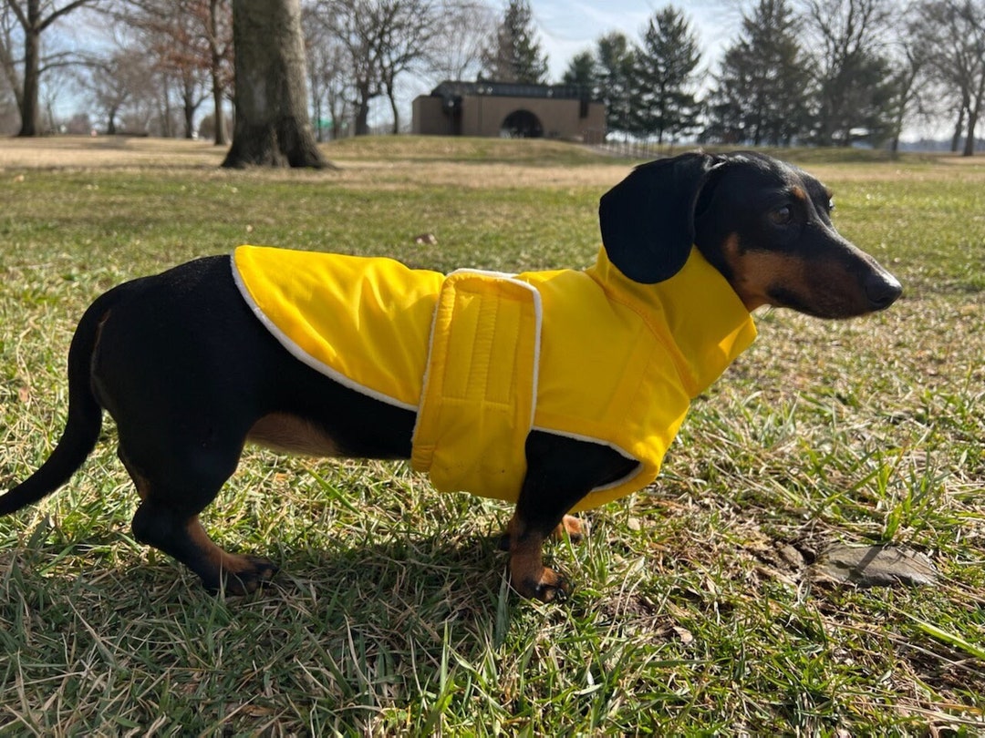 Dog Raincoat, Yellow, Lined With Luxe Premium Fleece or 100% Cotton ...