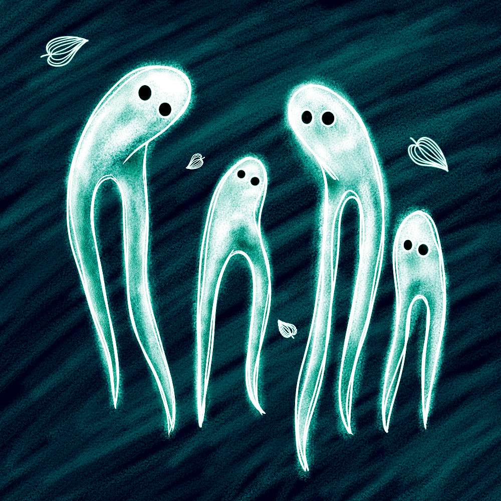 Fresno Nightcrawlers (matte Art Print) - Etsy