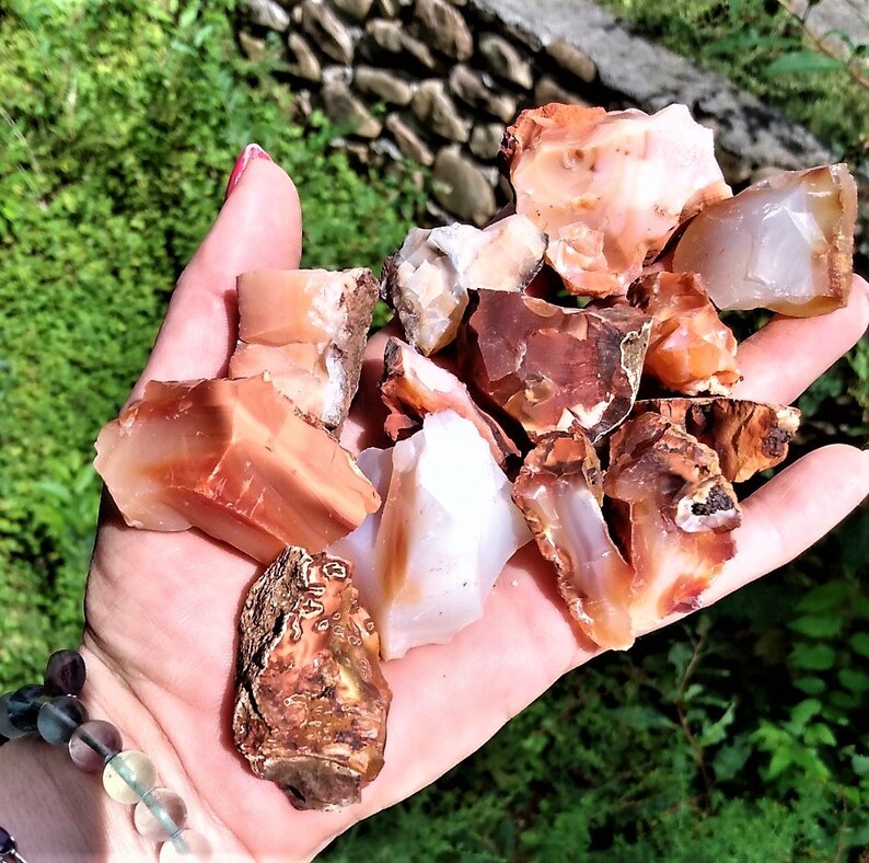 Carnelian Sard Crystal Decor Second Chakra Sacral - Etsy