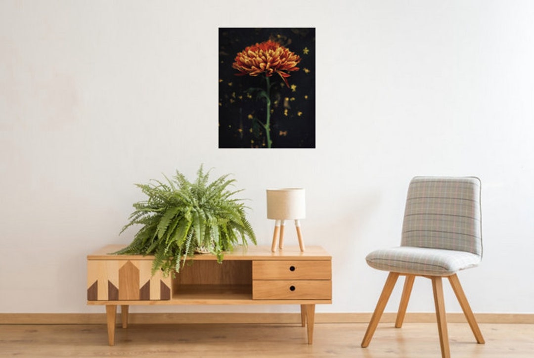 Foral, Flower, Digital Printable Downloads, Abstract Photography Wall ...