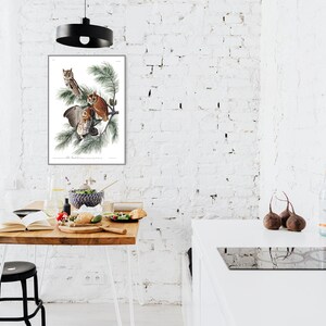 Little Screech Owl Print Vintage Bird Illustration From 19th Century ...