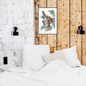 Little Screech Owl Print Vintage Bird Illustration From 19th Century ...