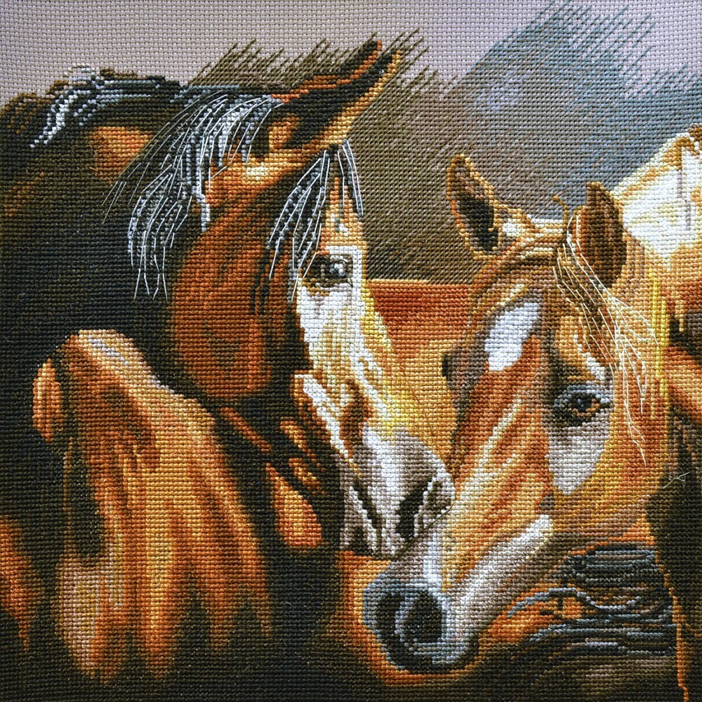 Cross Stitch Kit a Pair of Horses Counted Cross Stitch Kit - Etsy