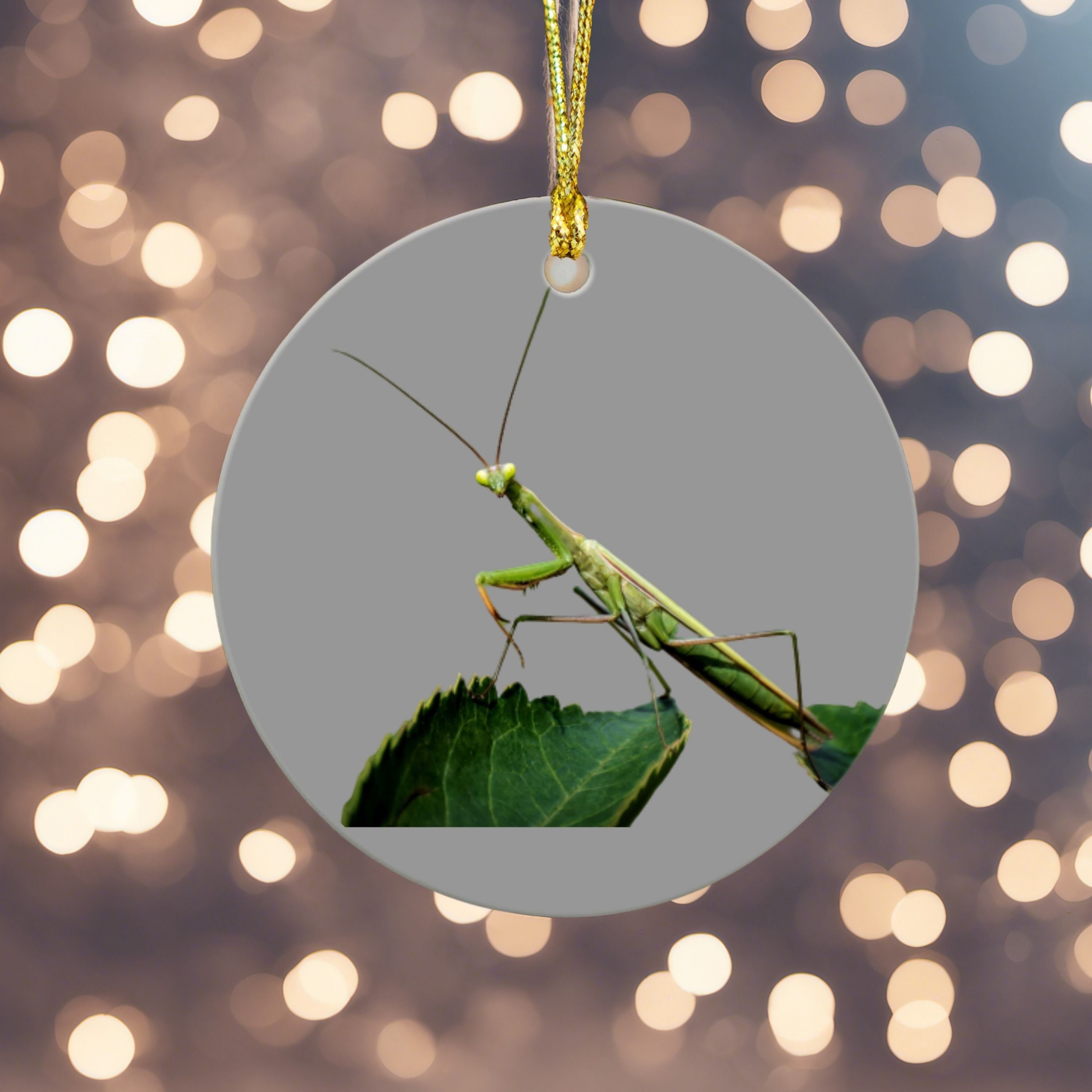 Bug Ornament for Entomologist, Praying Mantis Ornament Christmas ...