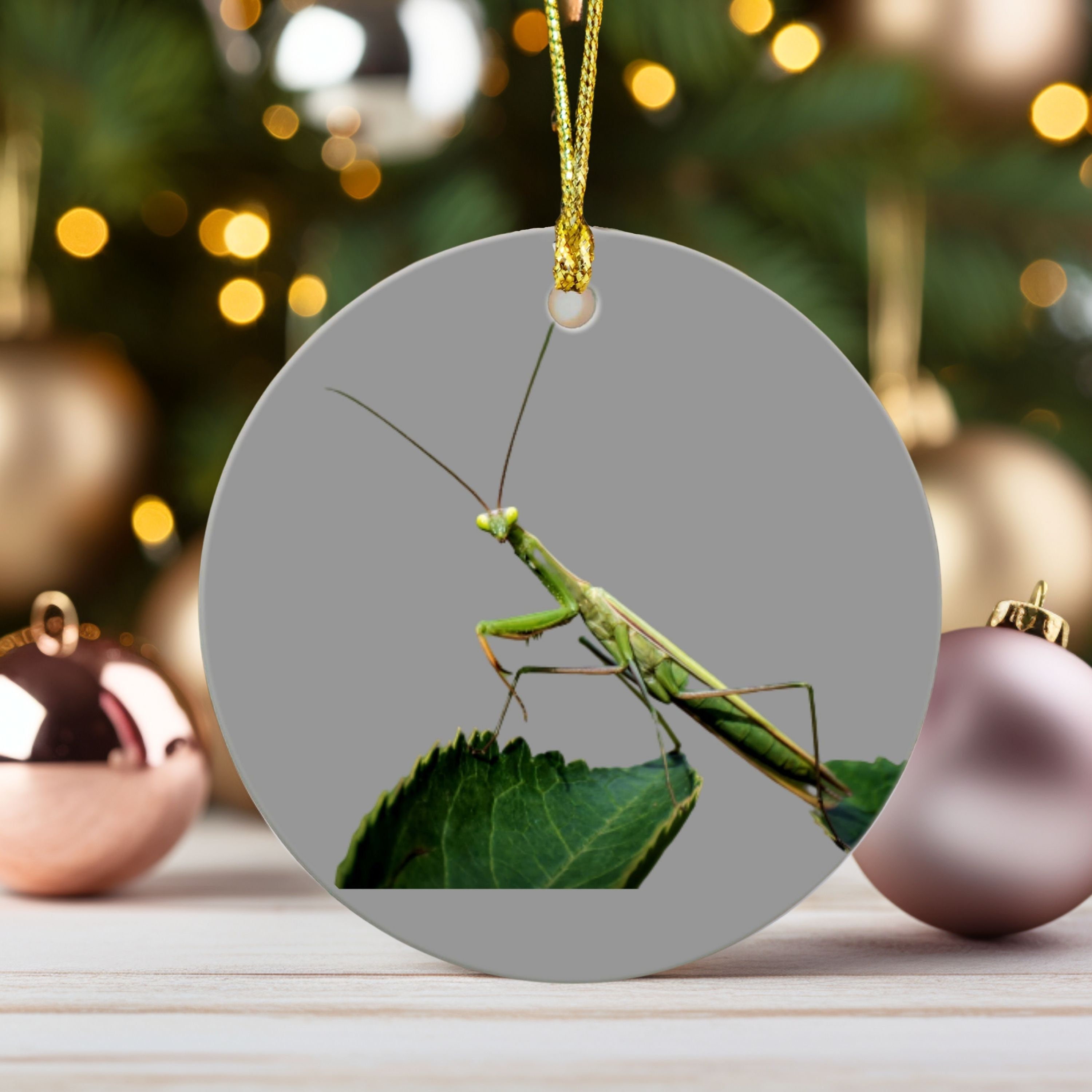Bug Ornament for Entomologist, Praying Mantis Ornament Christmas ...