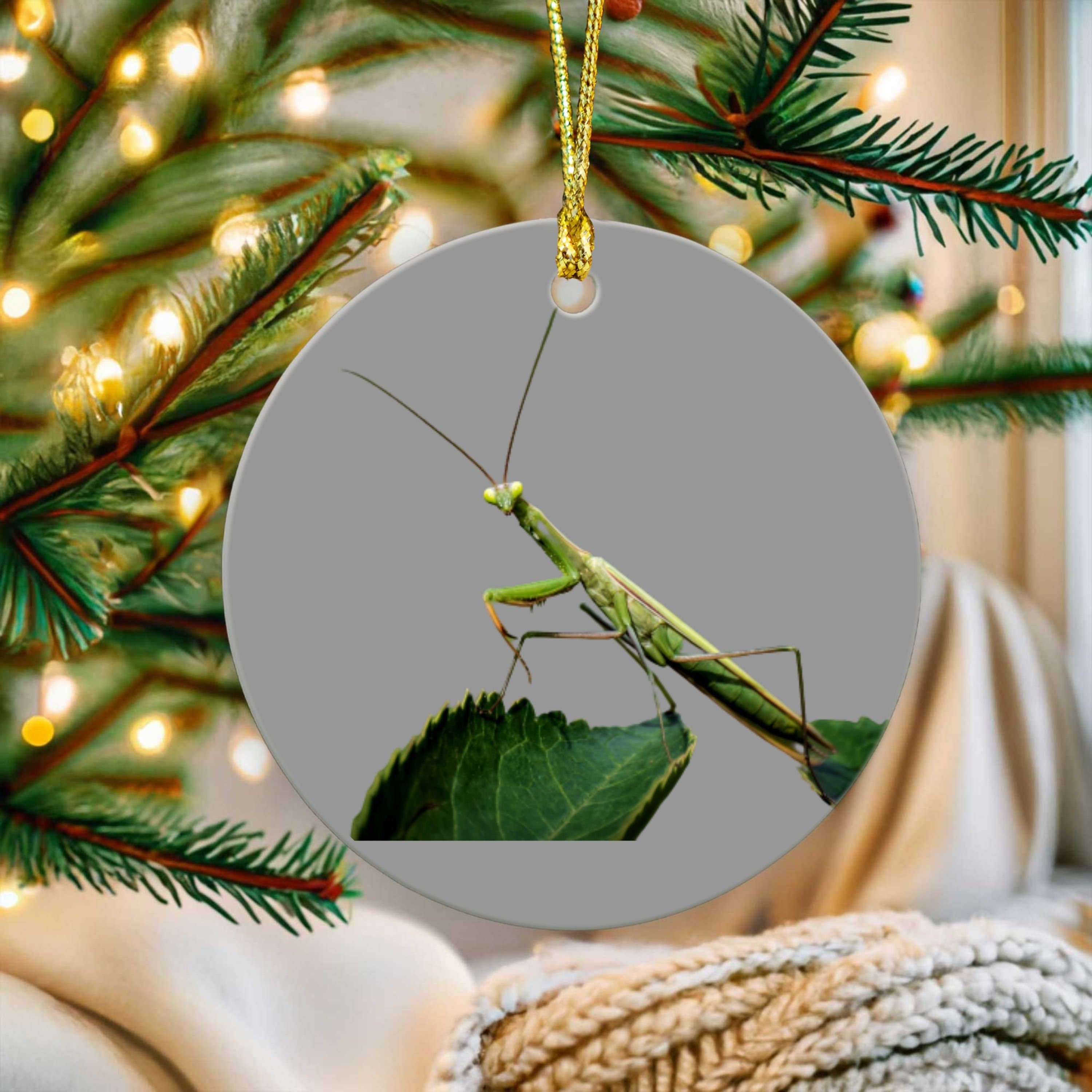 Bug Ornament for Entomologist, Praying Mantis Ornament Christmas ...