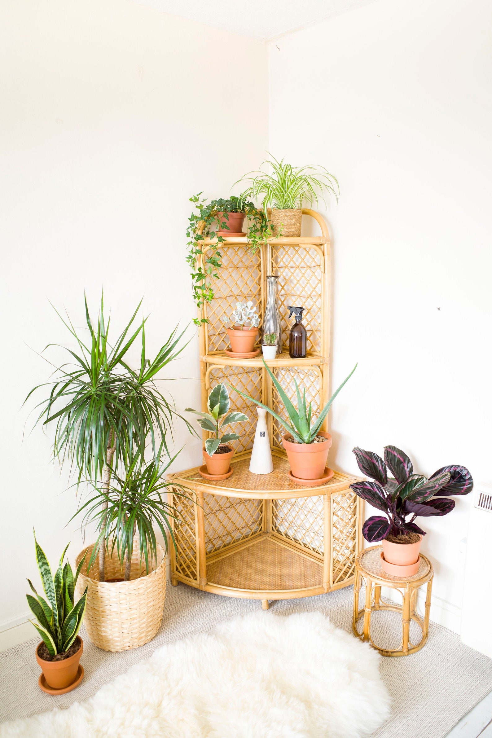 RARE Bamboo Corner Shelving Unit / Cane Shelves / Wicker Plant - Etsy