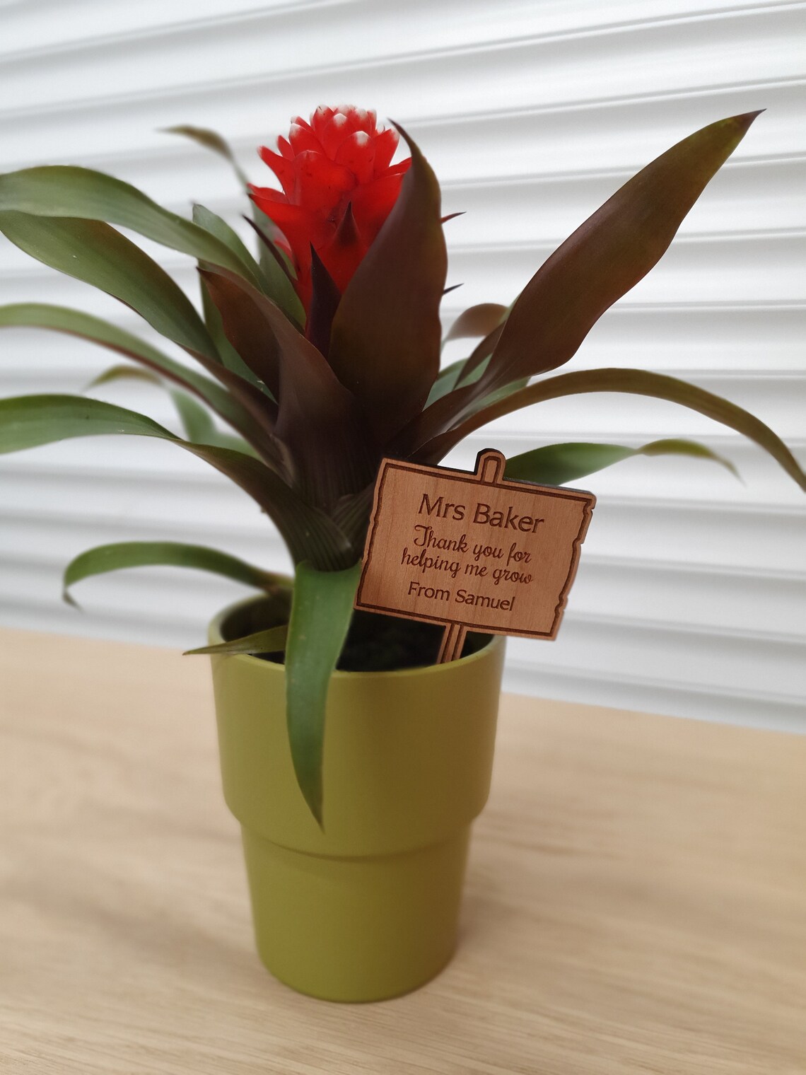 Teacher Thank You Gift Plant Pot Sign Personalised - Etsy