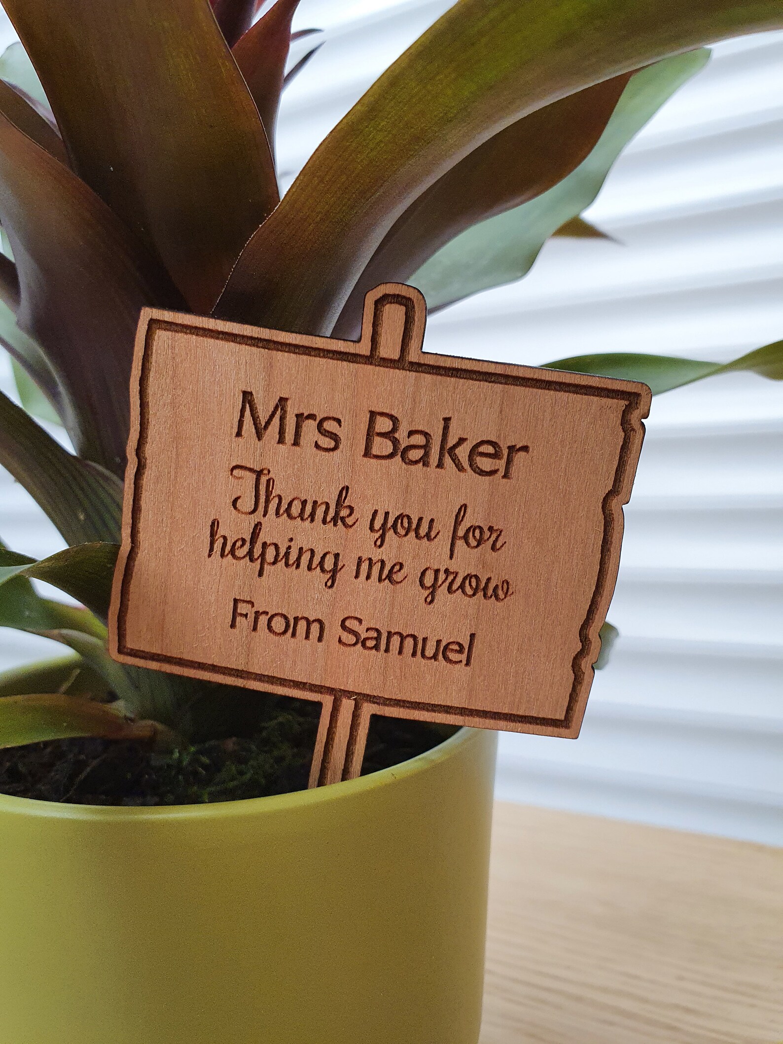 Teacher Thank You Gift Plant Pot Sign Personalised - Etsy UK