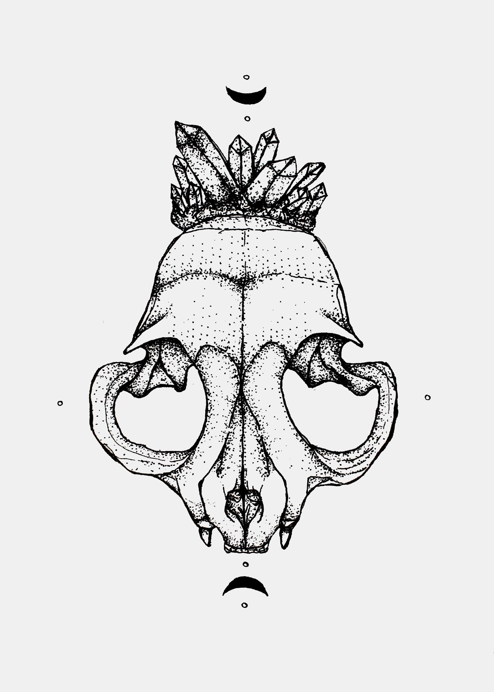 Cat Crystal Skull Print 8 1/2 X 11 Inch - Etsy
