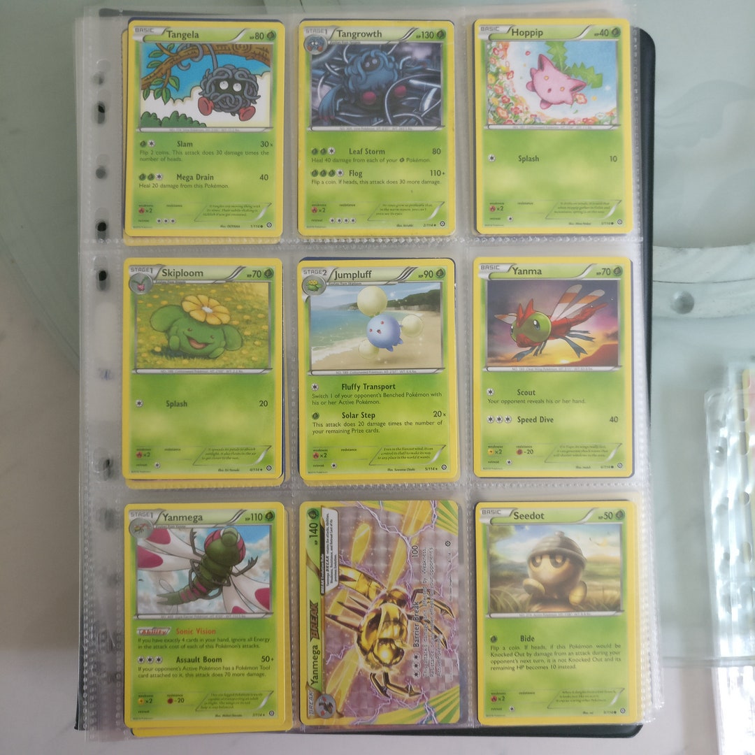 Complete Pokémon Card Set Steam Seige 114/114 - Etsy