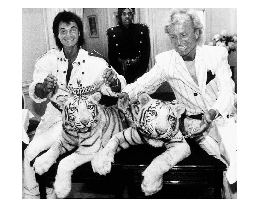 B/W OF SIEGFRIED & ROY With 2 Tigers at Home / Archival Magicians Photo ...