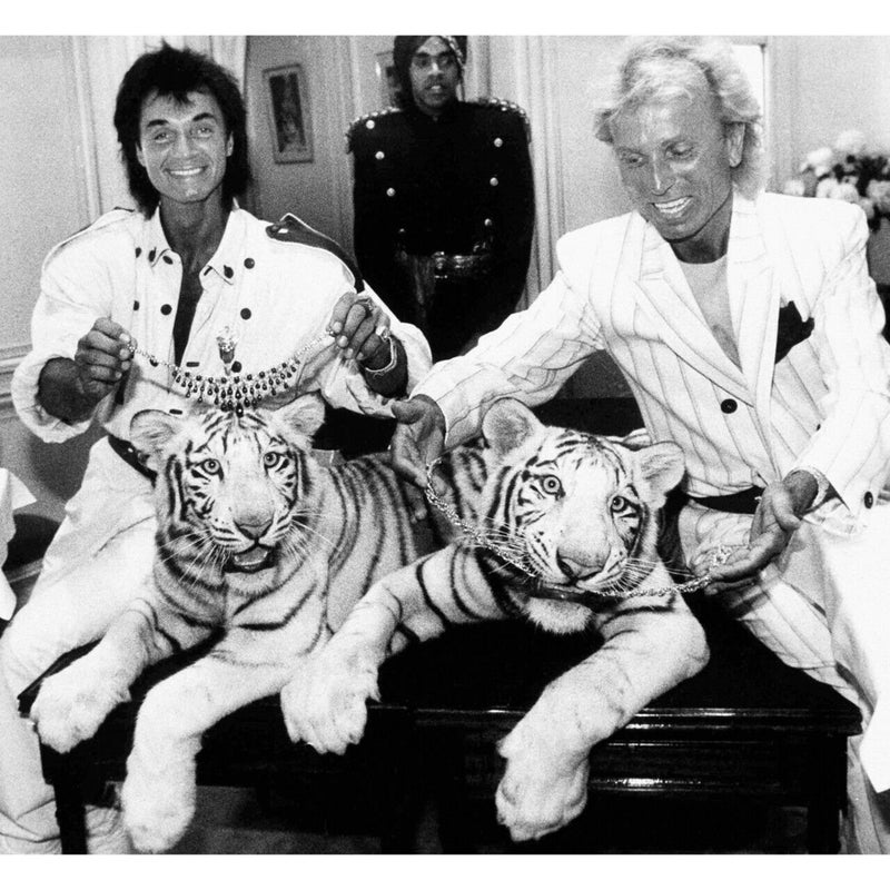 Siegfried Roy Tiger - Etsy