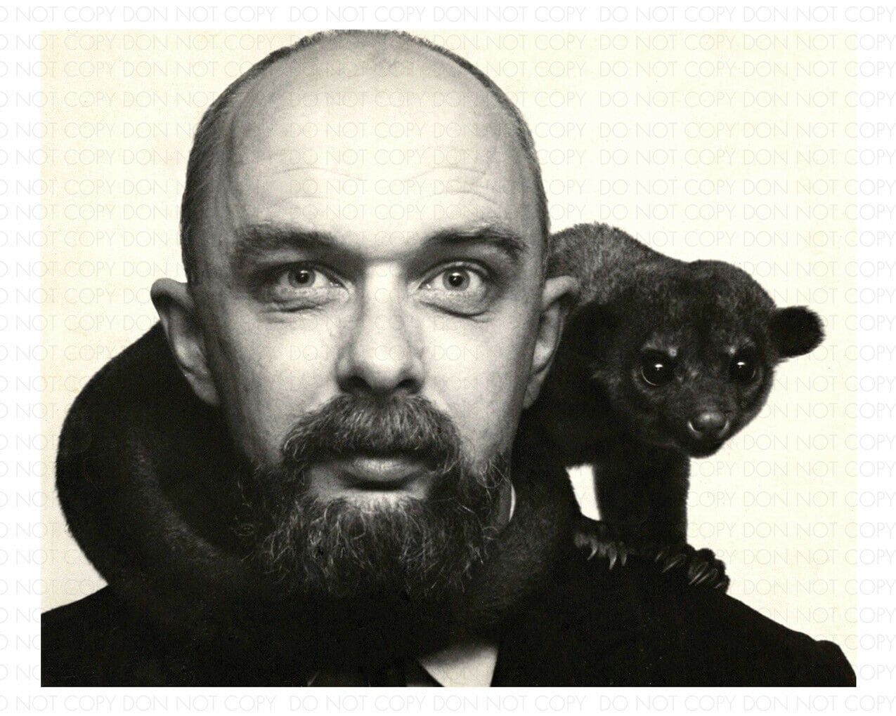 Photo of YOUNG AMAZING RANDI With Pet Kinkajou / Archival Magician ...