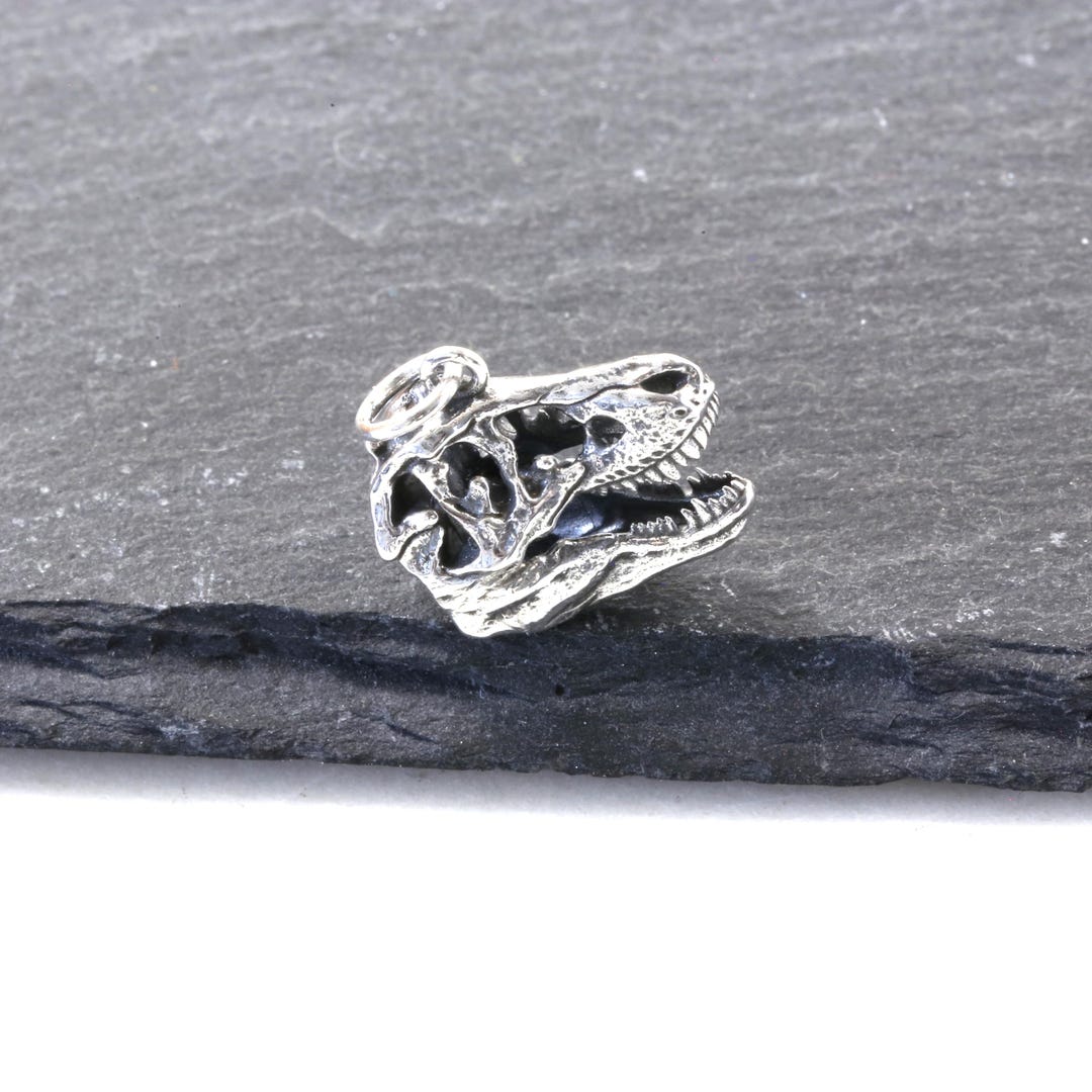 Sterling Silver 3D Tyrannosaurus Rex Skull Charm, T Rex Charm, Dinosaur ...
