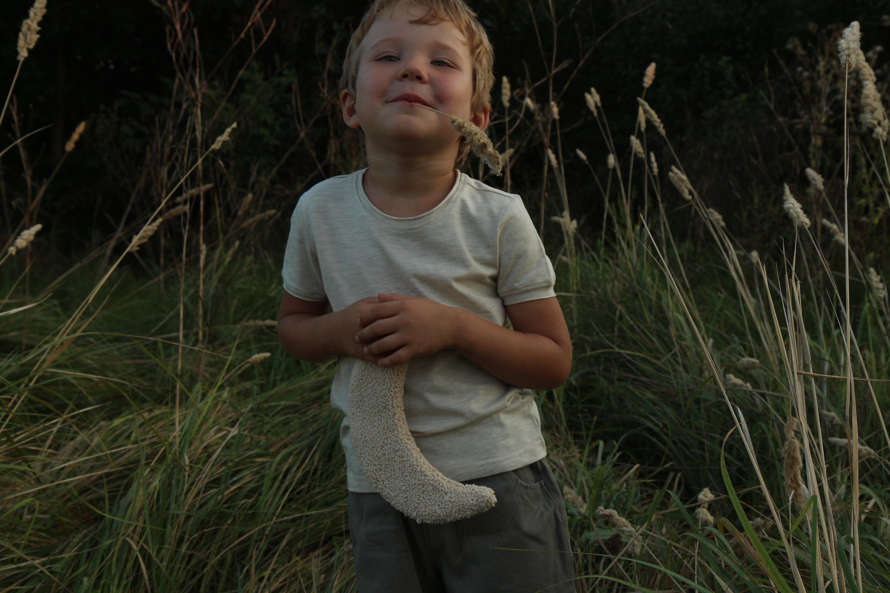 Embroidered Ivory Moon - Etsy