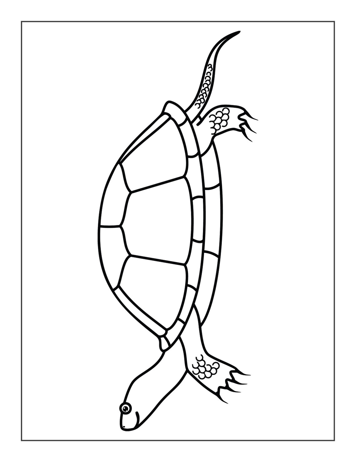 Set of 12 Printable Turtle Coloring Pages for Children - Etsy