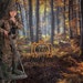 Hunting Tree Stand, Digital Background, Digital Backdrop, Digital ...