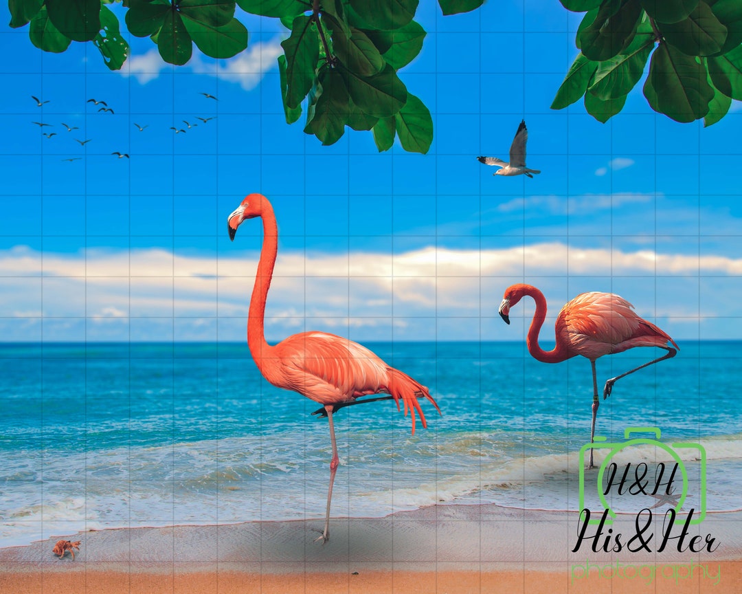 Flamingo Beach, Digital Background, Digital Backdrop, Digital Download ...