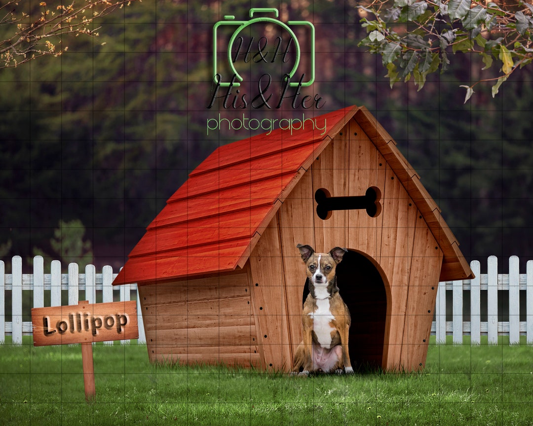 Dog House With Name Sign, Pet, Digital Background, Digital Backdrop ...
