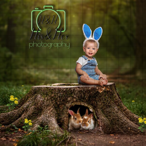 Easter Backdrop - Etsy