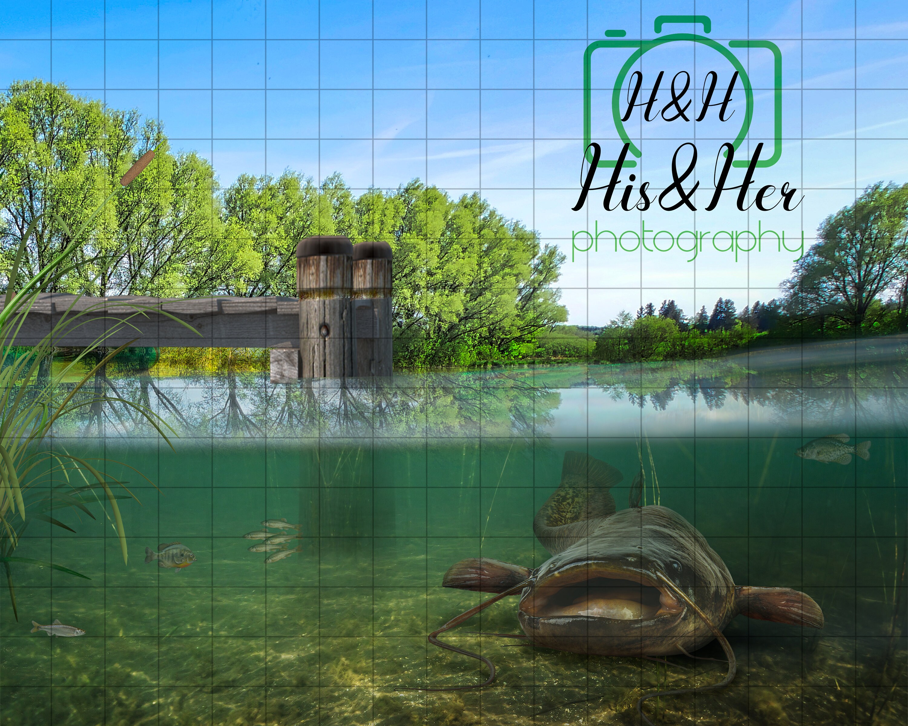 Cat Fishing on the Dock Digital Background Digital Backdrop | Etsy