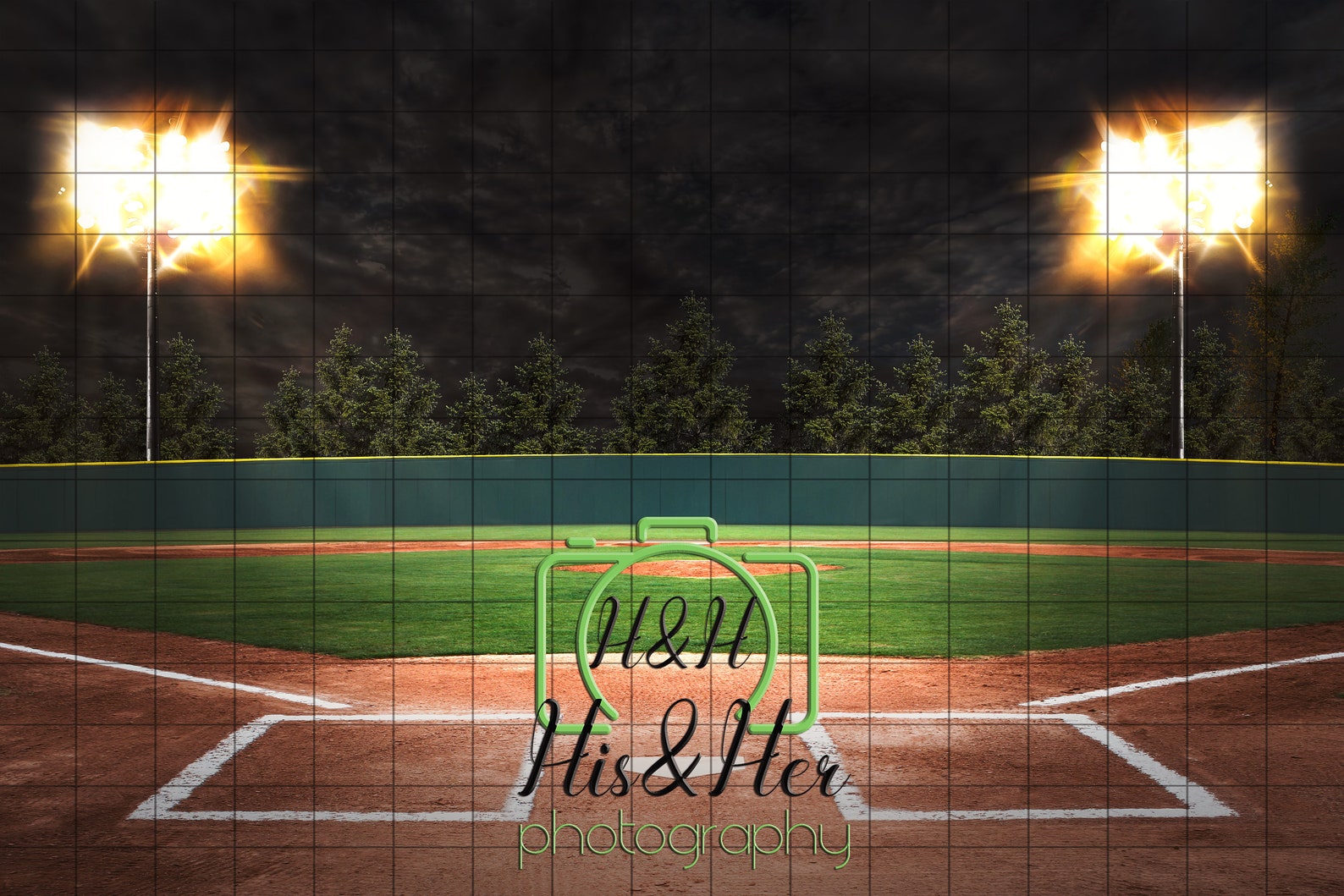 The Ball Field 4'x6' Banner Baseball Digital - Etsy