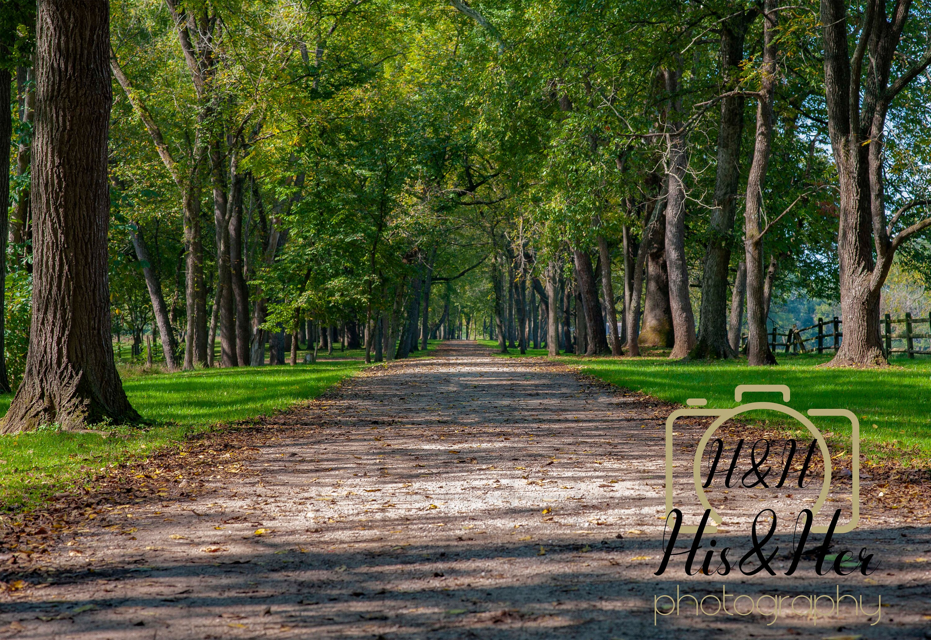 Country Road, Digital Background, Digital Backdrop - Etsy