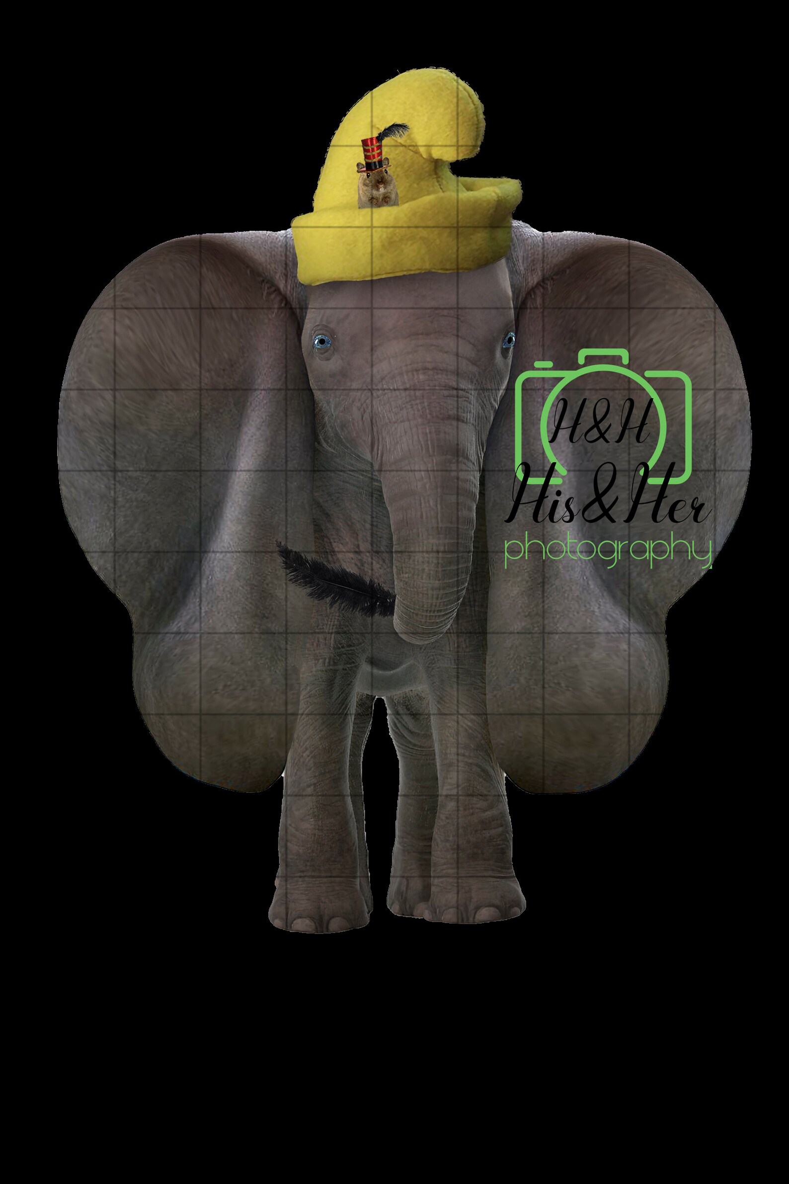 Dumbo PNG Dumbo Transparent Background Custom Dumbo - Etsy