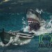 Wave Shark Attack Digital Background Digital Backdrop - Etsy