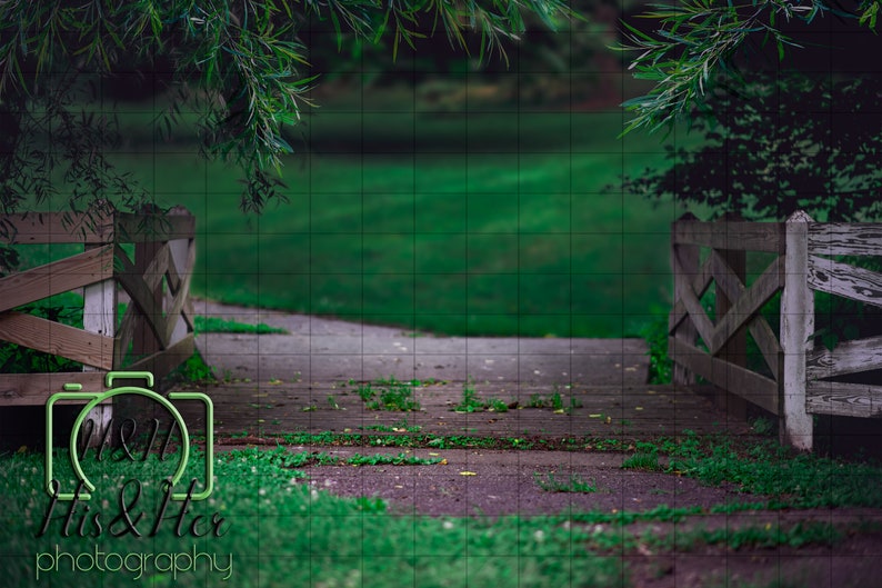 Woodland Bridge Digital Background Digital Backdrop Digital - Etsy