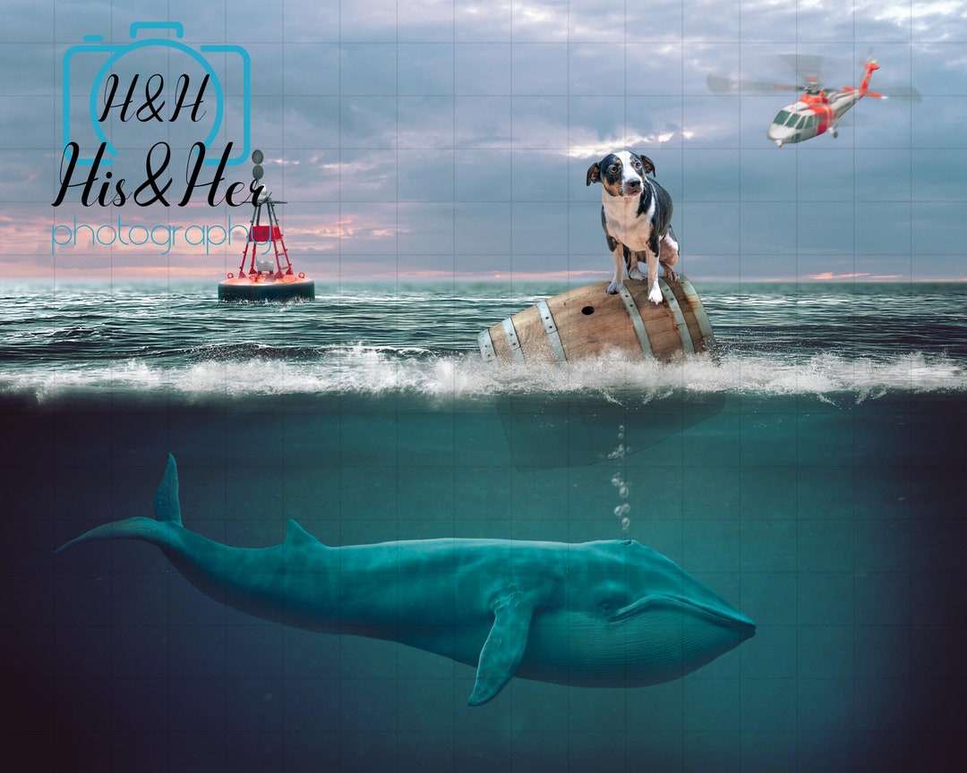 Barrel at Sea, Whale, Digital Background, Digital Backdrop, Digital ...