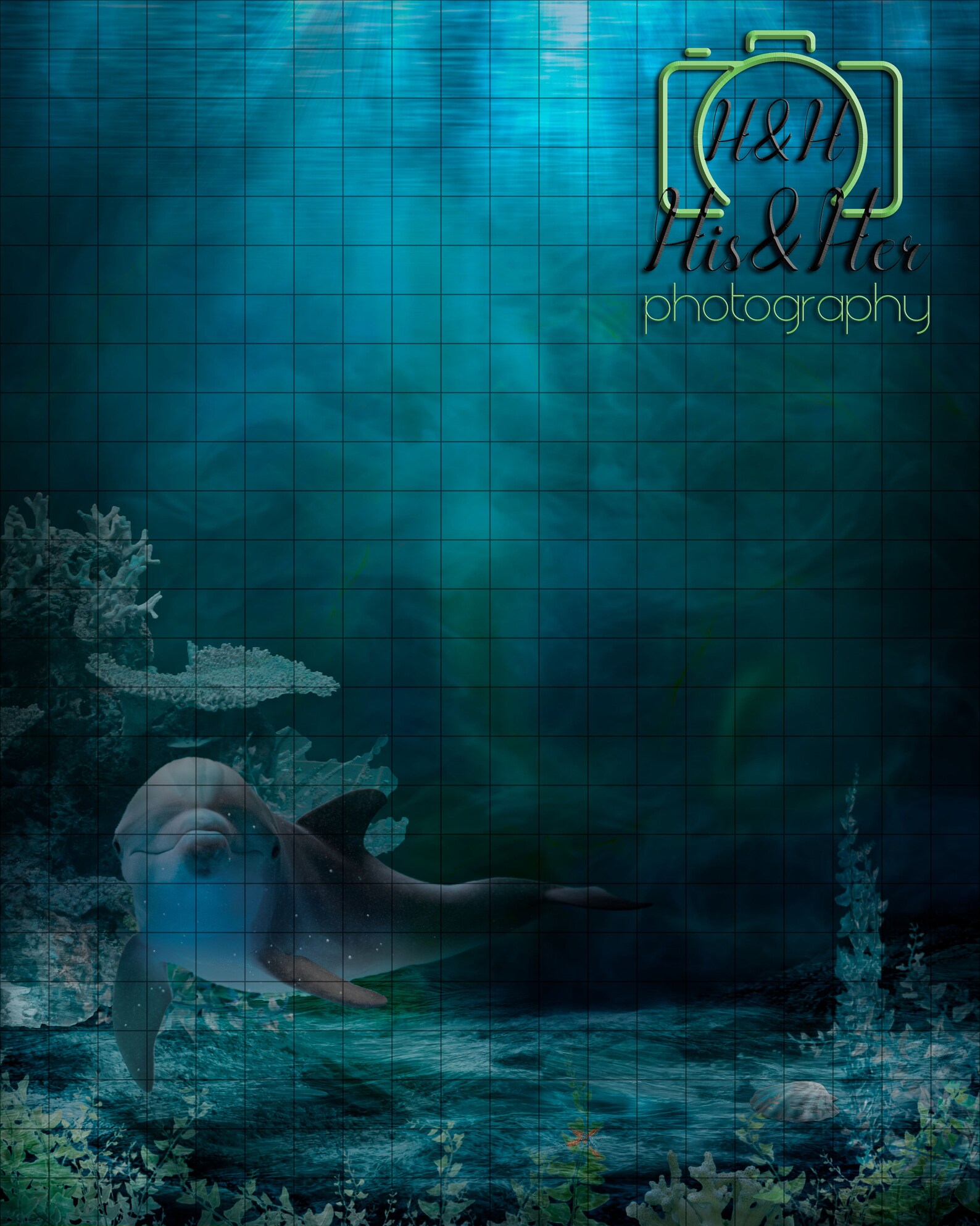 Dolphin Underwater Scene Digital Background Digital - Etsy