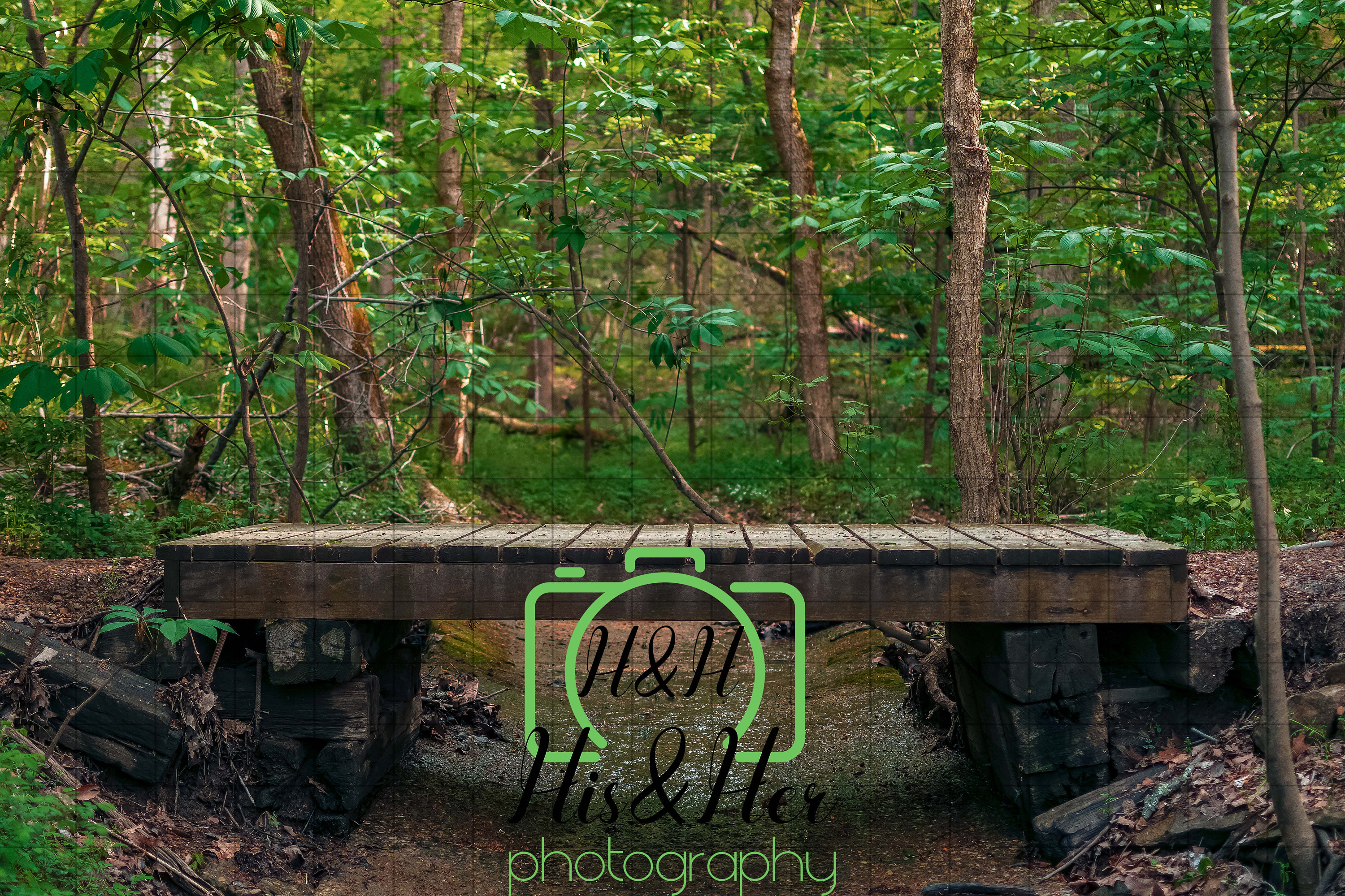 Forest Bridge Digital Background Digital Backdrop Digital - Etsy