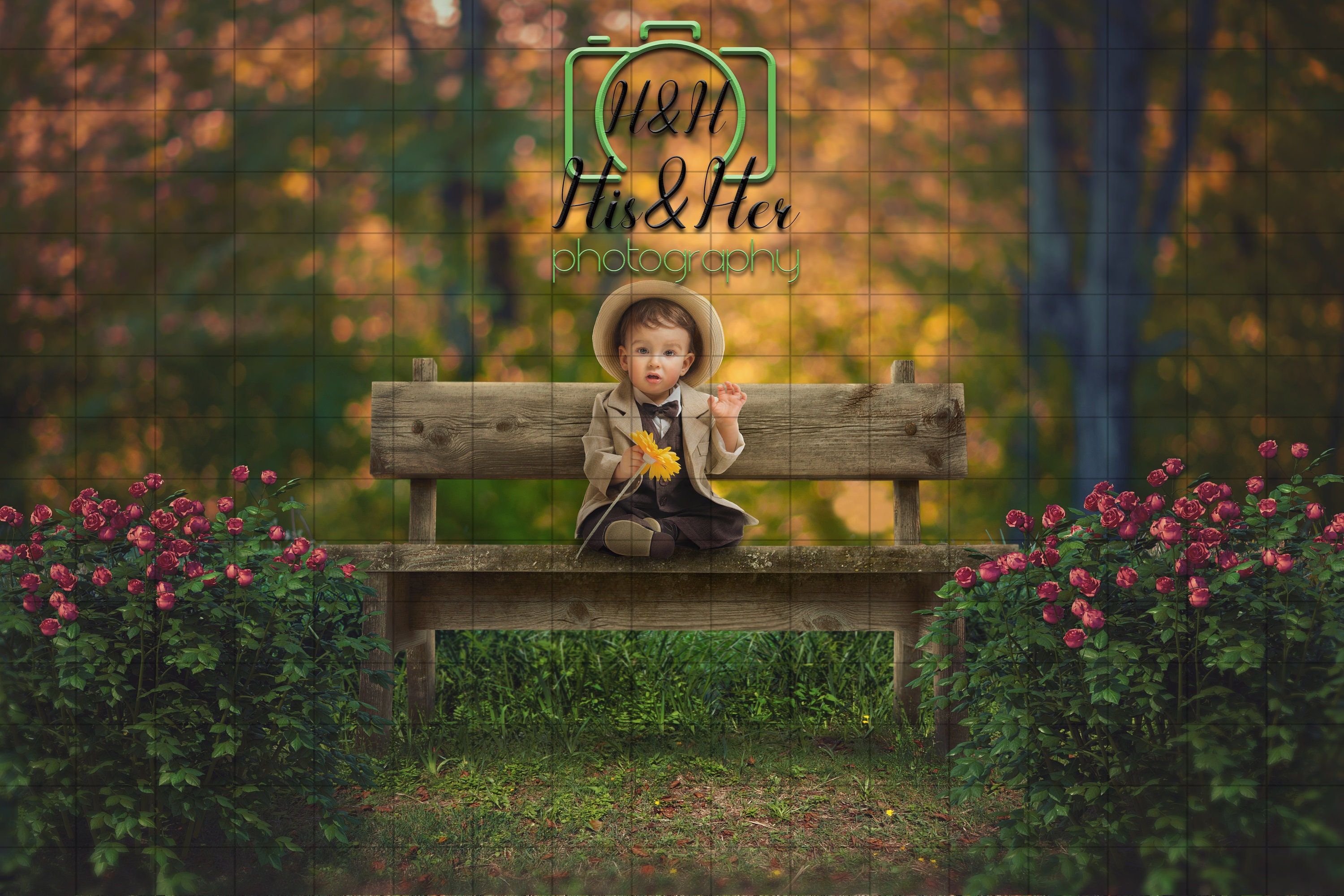 Drawing & Illustration DIGITAL Backdrop JPG Bench in Woods With Tiger ...