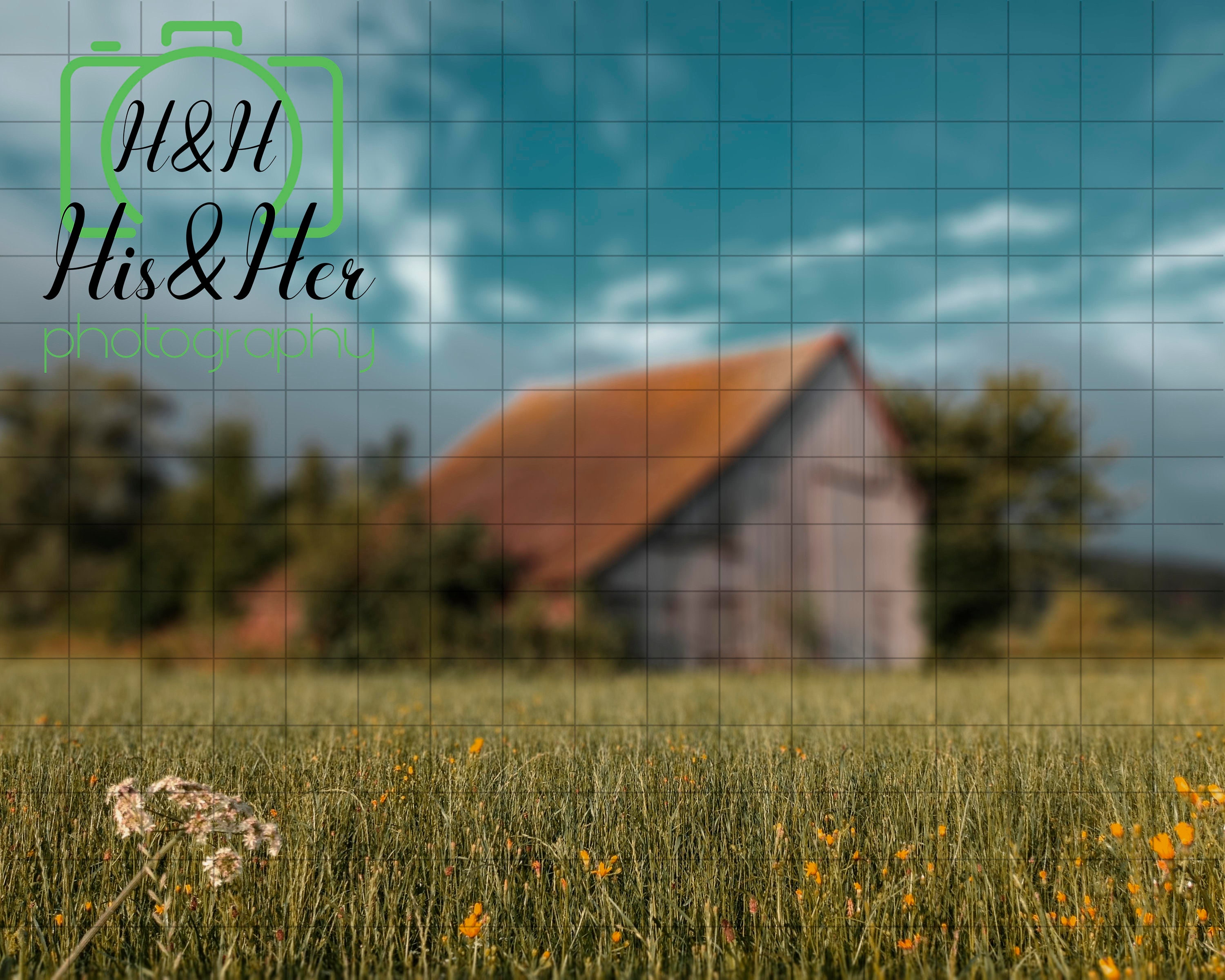Drawing & Illustration Digital Barn field digital background Art ...