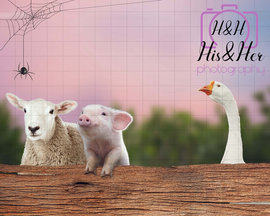 Charlotte's Web, Digital Background, Digital Backdrop, Digital Download ...