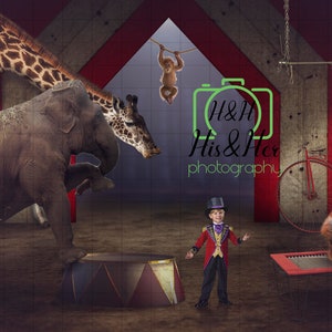 Big Top Circus, Digital Background, Digital Backdrop, Digital Download ...